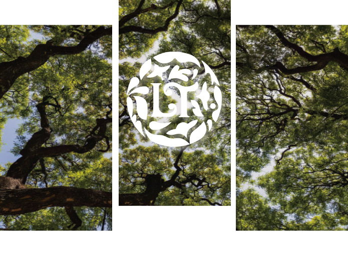 LivingTree by Kalyani Developers | Bagalur, KIADB Bangalore